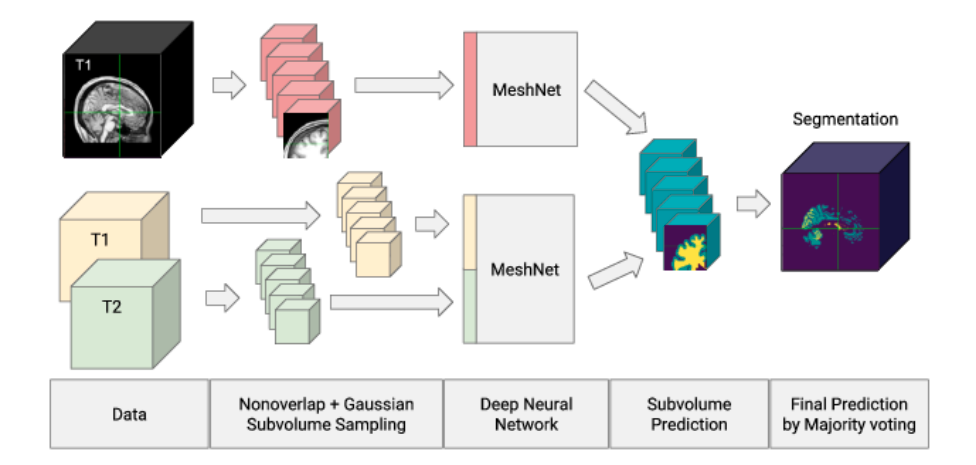 Catalyst.Neuro: A 3D Brain Segmentation Pipeline for MRI | Catalyst